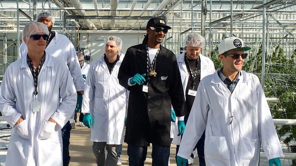 Canopy Growth Corporation - The Cannabis Business Directory